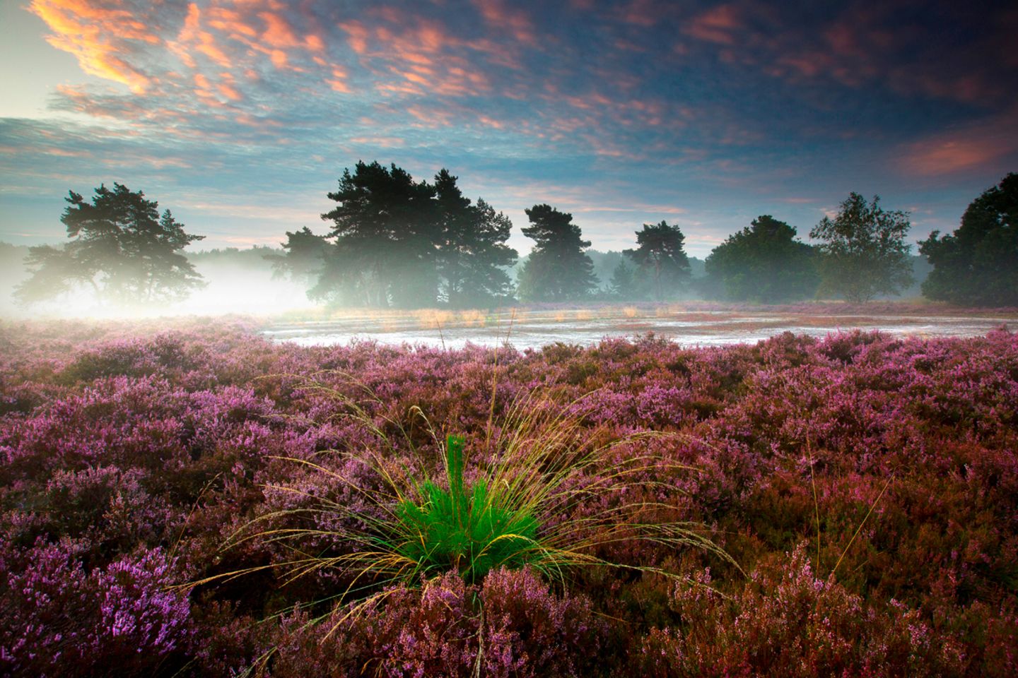 Beyond Chocolate and Waffles: Discover Belgium's Stunning Hidden Gems!