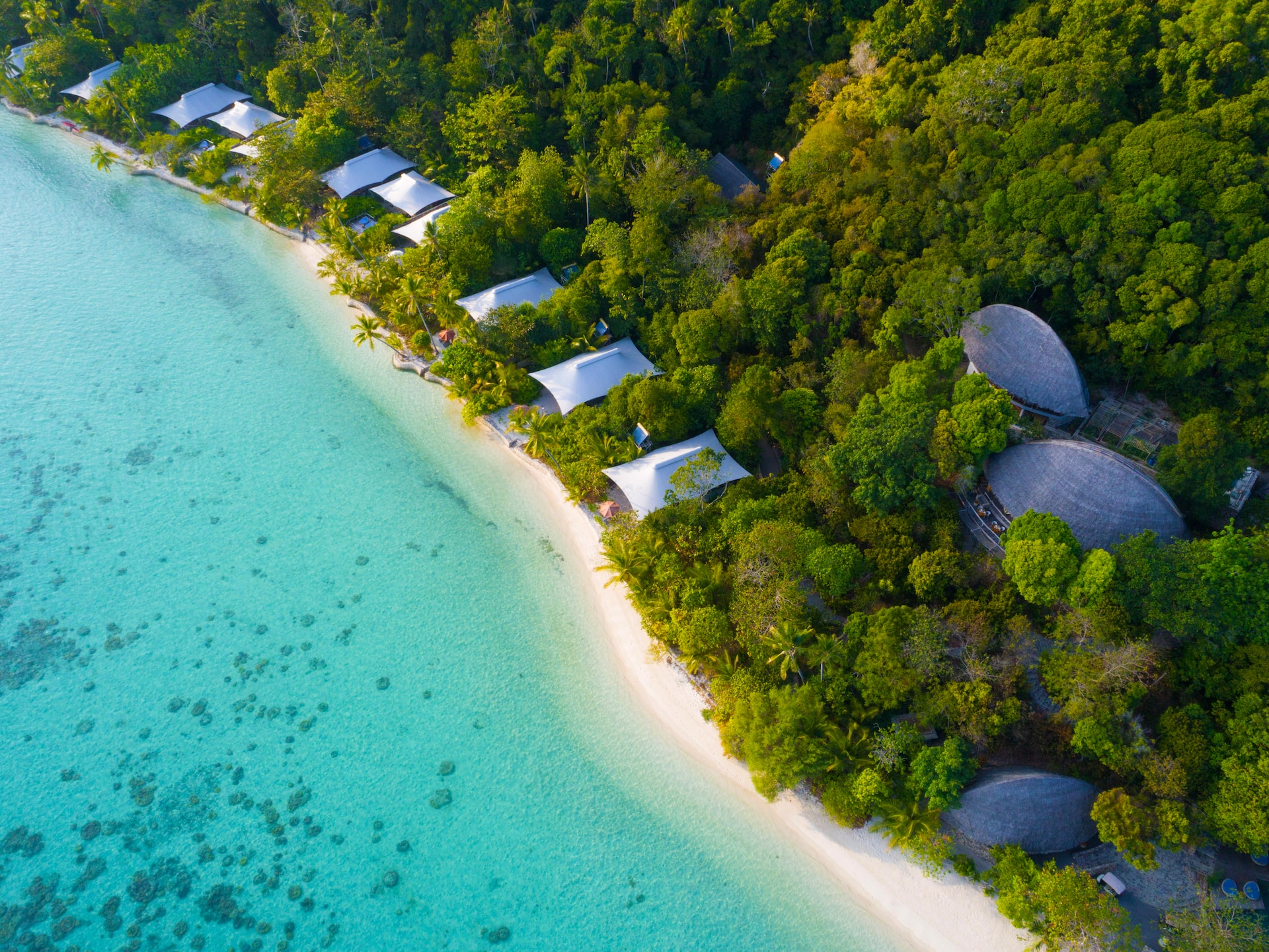 Travel Green: Uncover the Secrets to Becoming a Sustainable Globetrotter!
