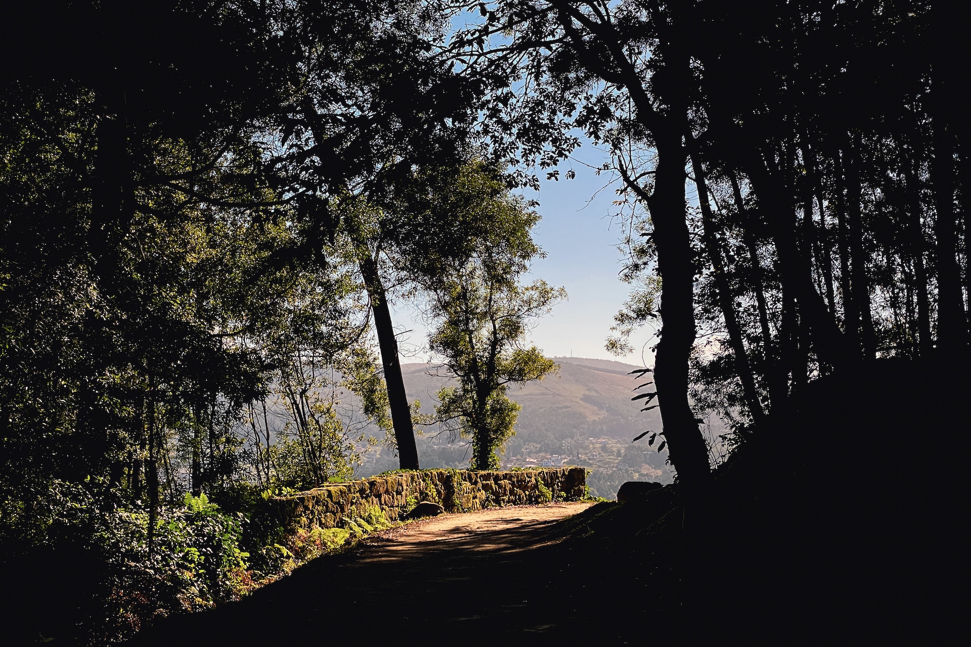 From Novice to Nomad: The Ultimate Guide to Hiking Trails Around the World!